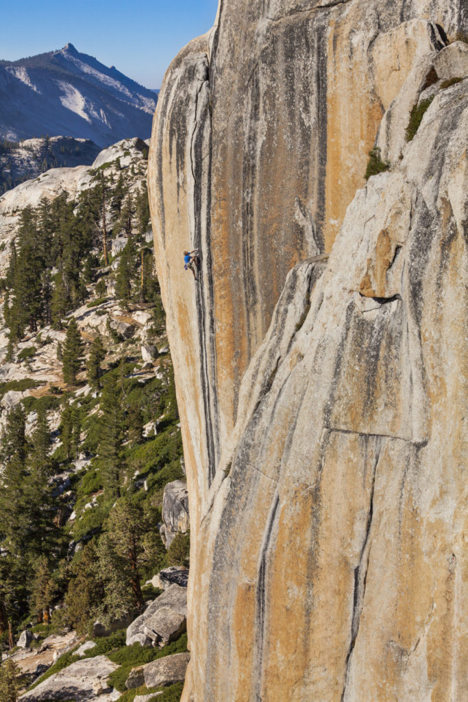 ROBERT BOORMAN - Wild Yosemite